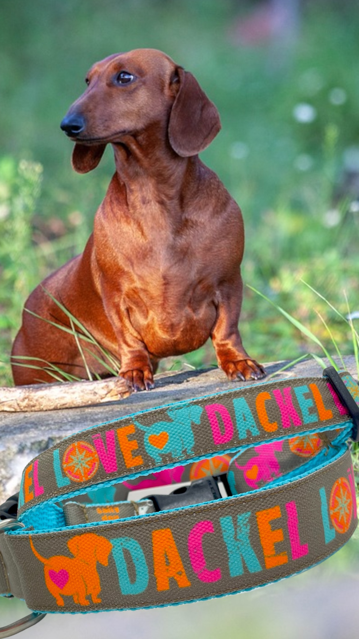 Dogs Inn® - Manufaktur | SALTYDOG ® DACKEL LOVE| Limited Edition | Dogs ...